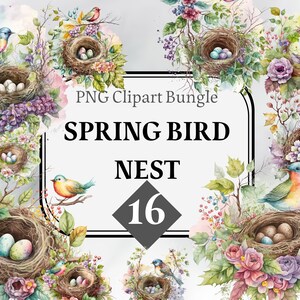 Watercolor Nests Clipart, Springtime, Cute, Bird Nests, Flowers ...