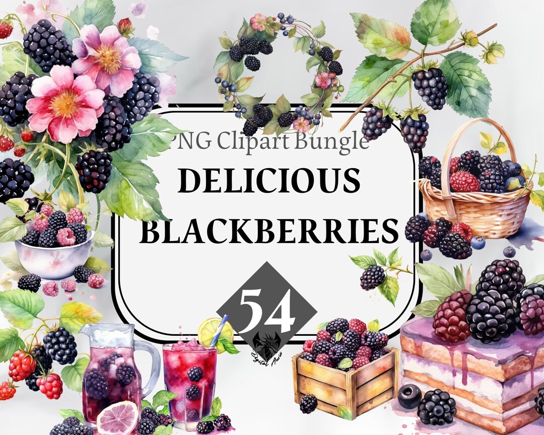 Watercolor Blackberry Clipart Transparent Background Png,blackberry ...