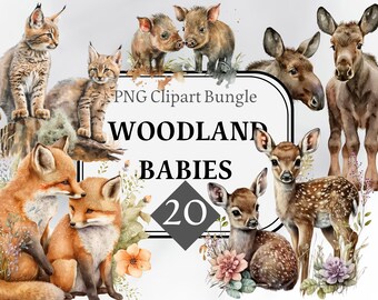 40 PNG Woodland Animals Clipart Watercolor, Clipart for Commercial Use ...