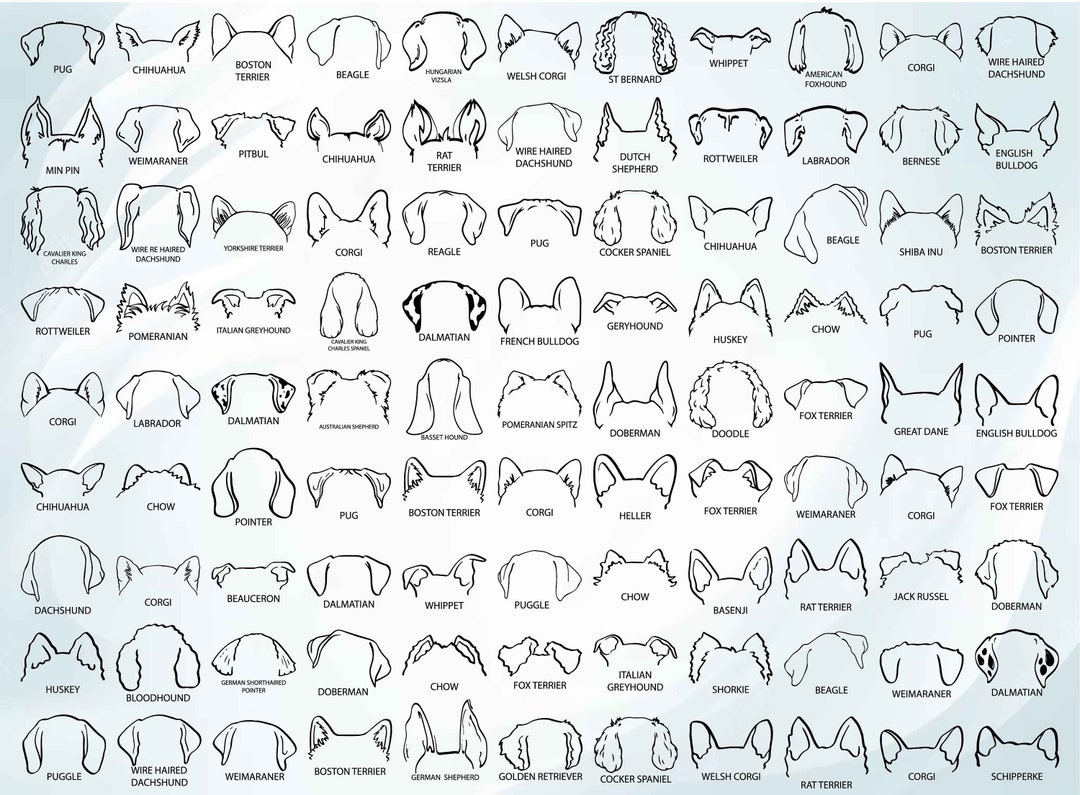 Hunderasse Ohren SVG Handgezeichnet Hundeohren Umriss Etsy de