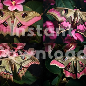Set of 4 Printable Moth Digital Download Wall Art Hot Pink Colorful ...