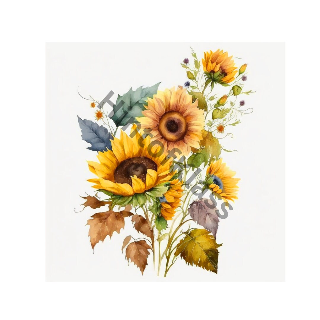 Watercolor Floral Sunflowers Clipart Fall Flowers Fall Floral,png ...