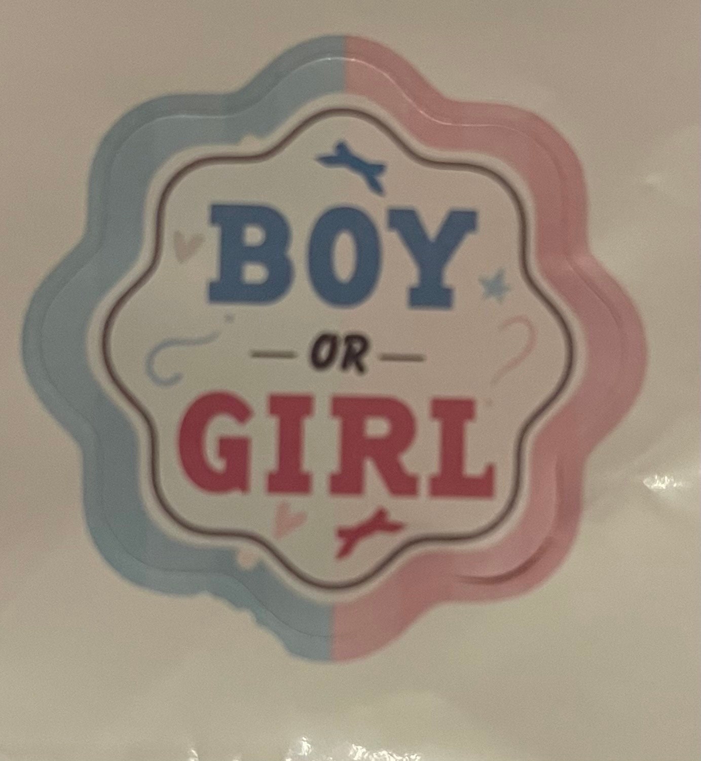 Baby Gender Reveal Party Team Boy, Team Girl, and Boy or Girl Stickers ...