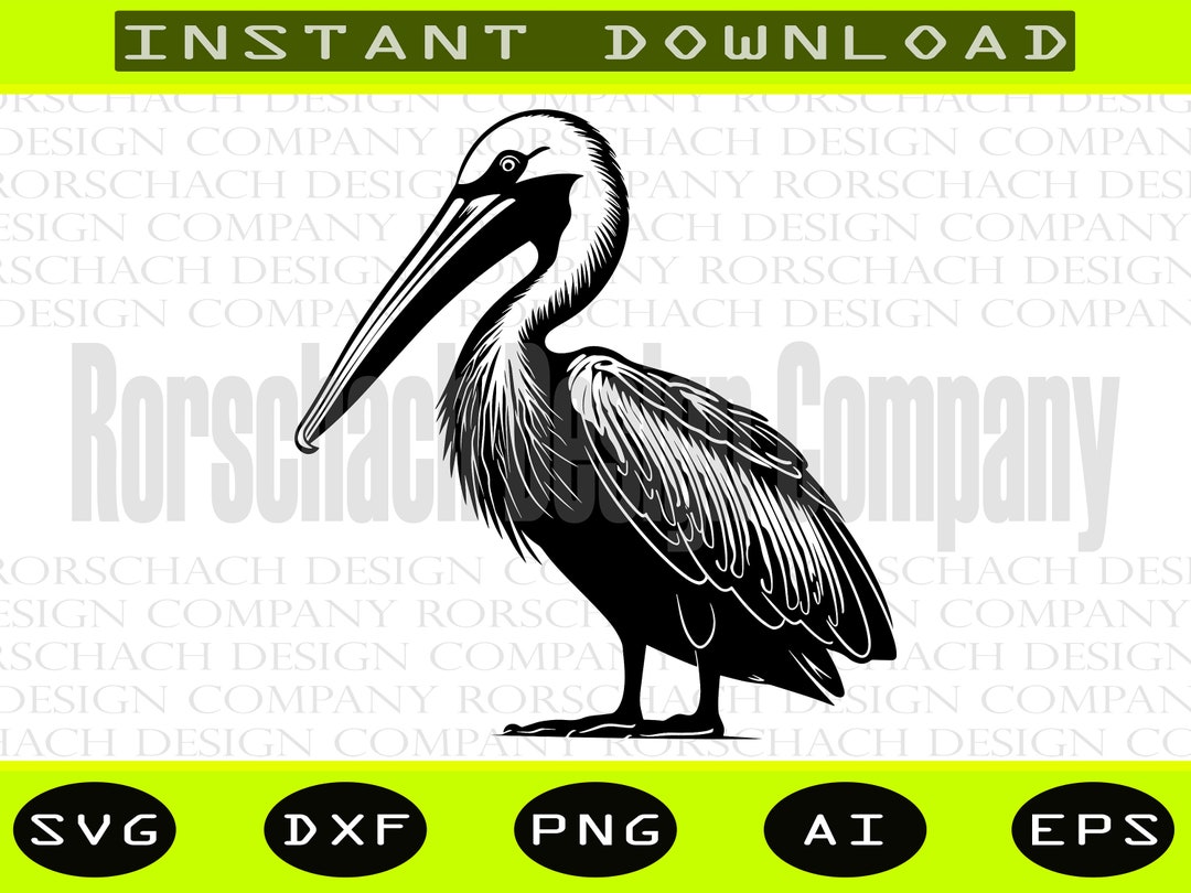 Pelican Svg, Pelican Clipart, Sea Bird Svg, Ocean Bird Svg, Sea Life ...