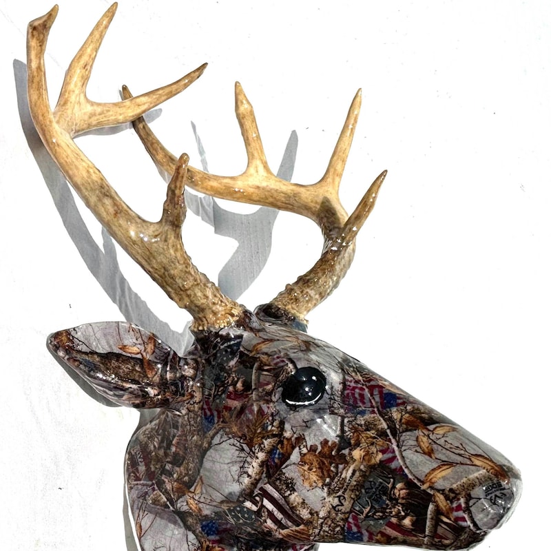 Real Mounted Deer Head - Etsy