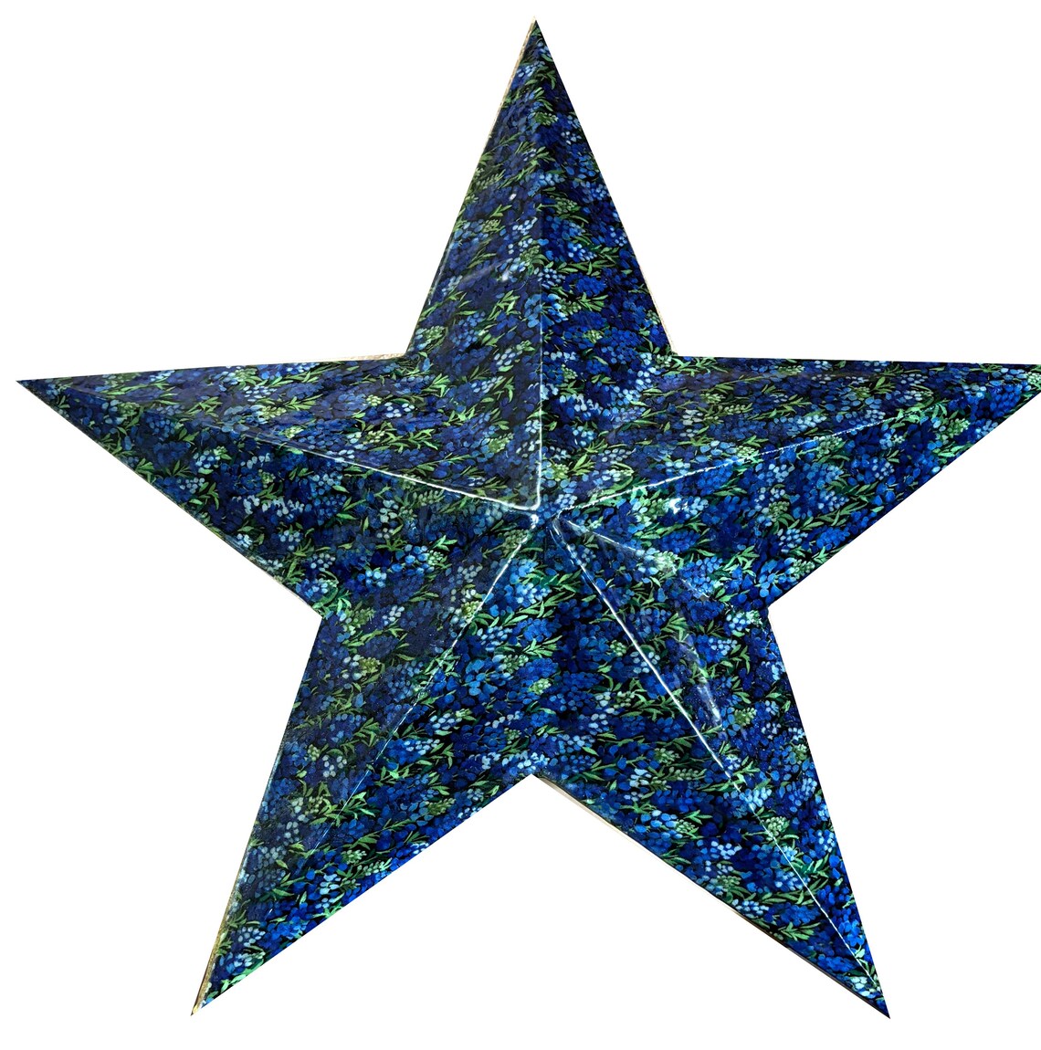5 Pointed Star is 3D and 22 Inches Across and Covered With Texas ...