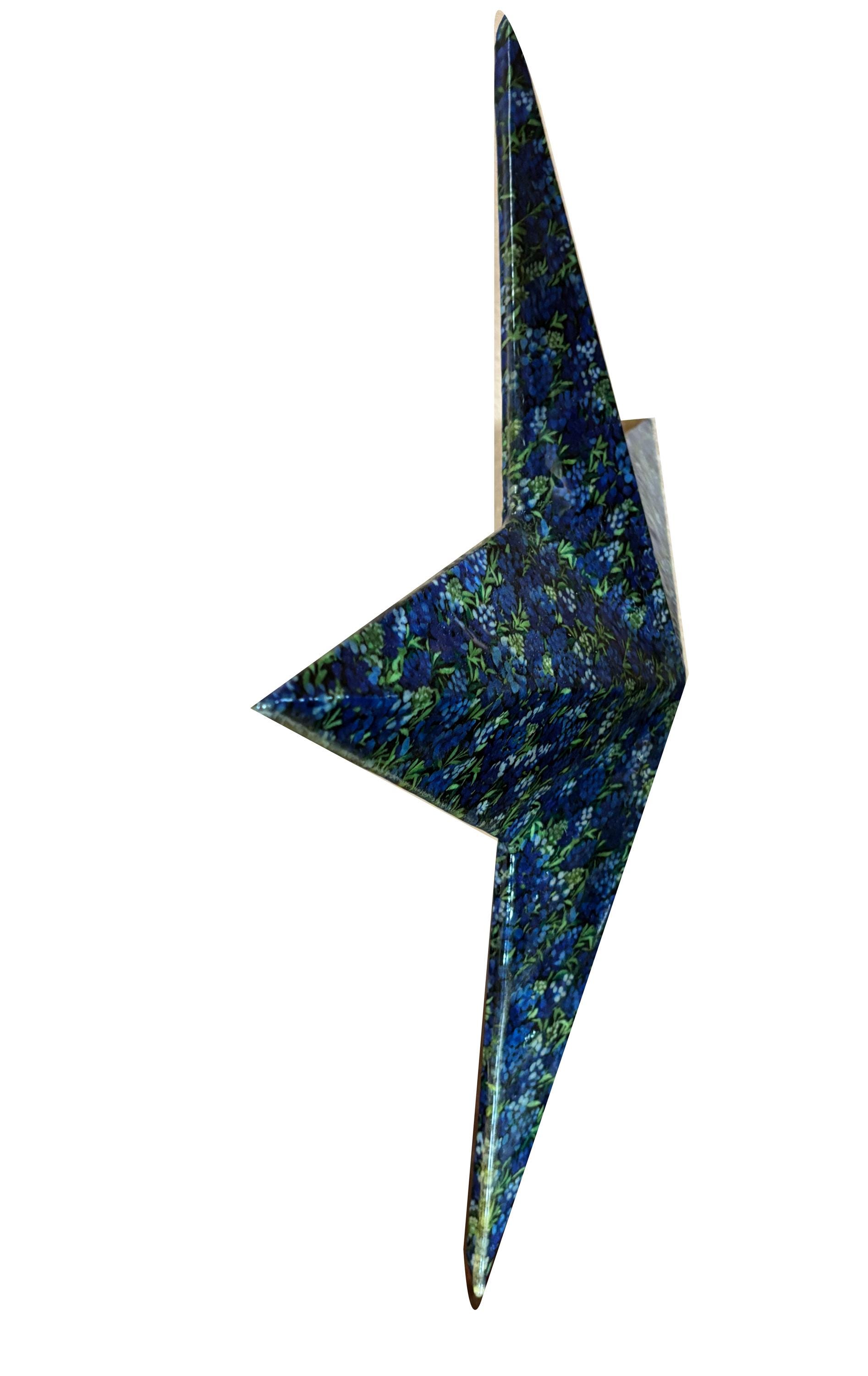 5 Pointed Star is 3D and 22 Inches Across and Covered With Texas ...