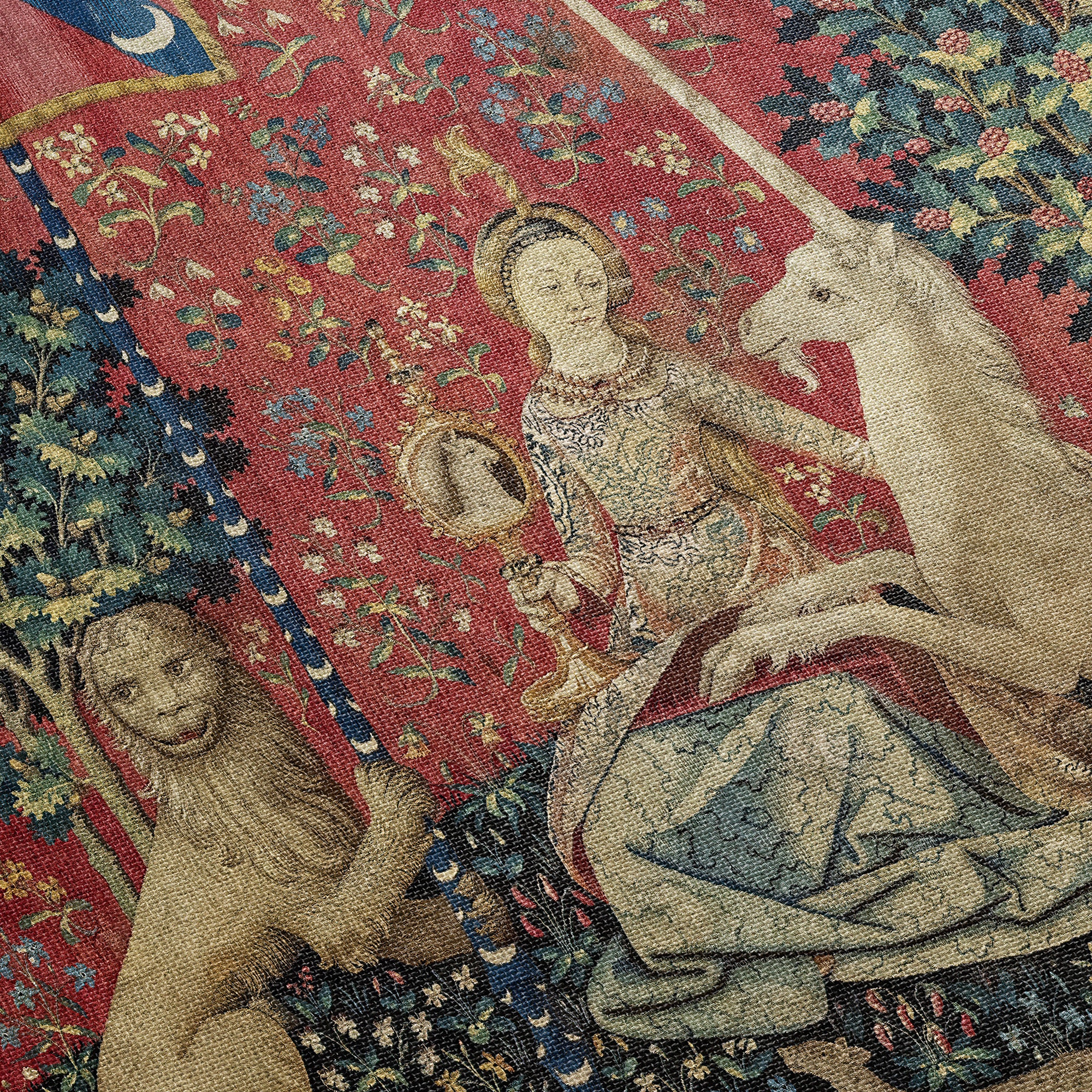 The Sight Tapestry Blanket – Romantic Medieval Throw for Bedroom or ...