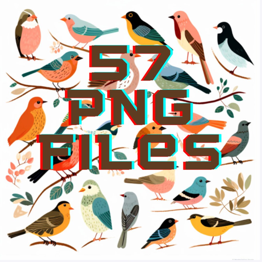 Watercolor Birds Clipart colorful Birds Clipart Digital - Etsy