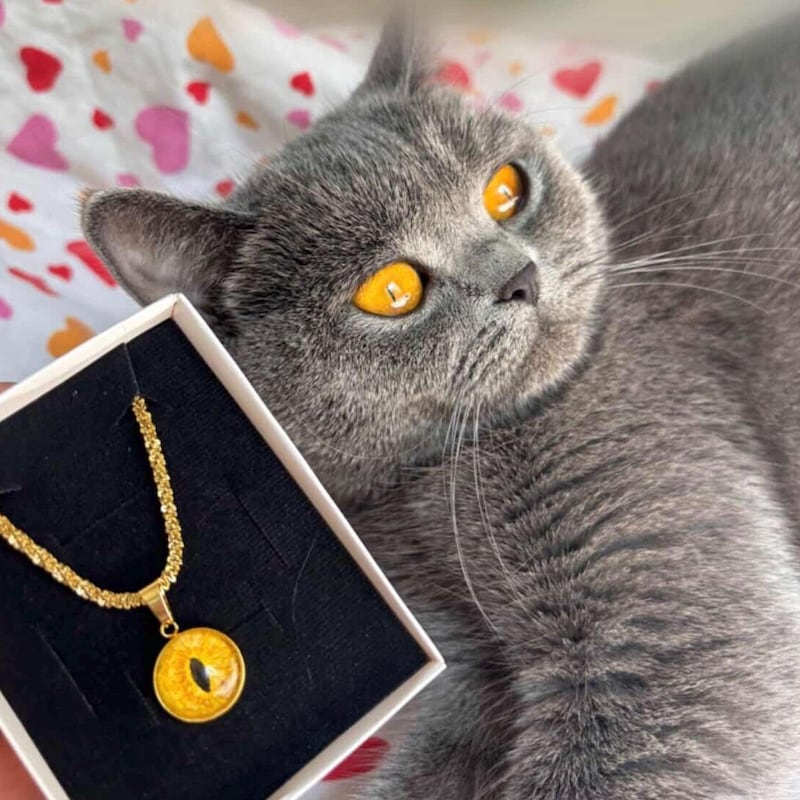 Cat Eye Jewelry - Etsy