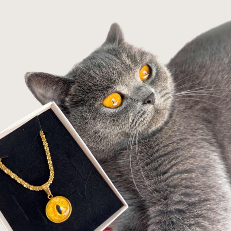 Hand Painted Eye Custom - Etsy