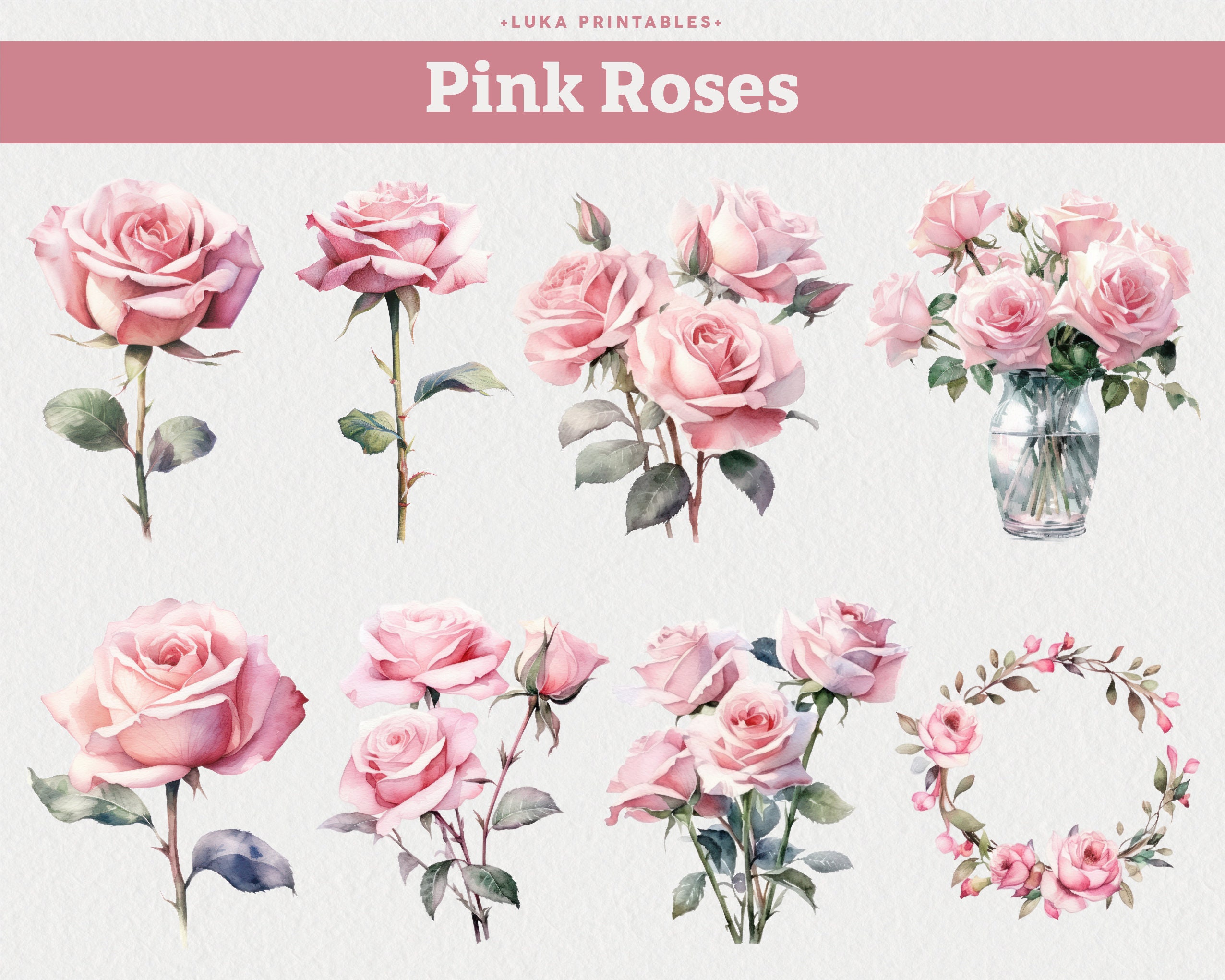 Pink Roses | Watercolor Clipart | Flower Clipart - Etsy