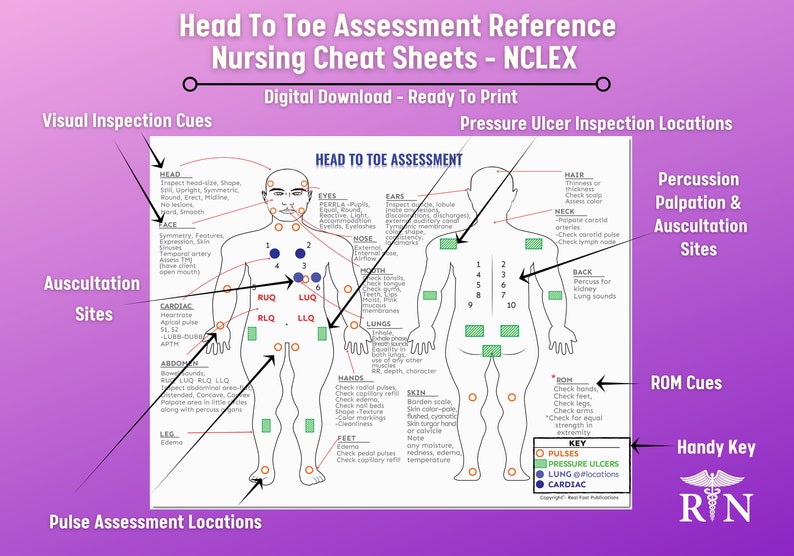 NCLEX Flash Cards Prep and Study Plan | 300 Q&A + 4 Cheat Sheets > Head ...