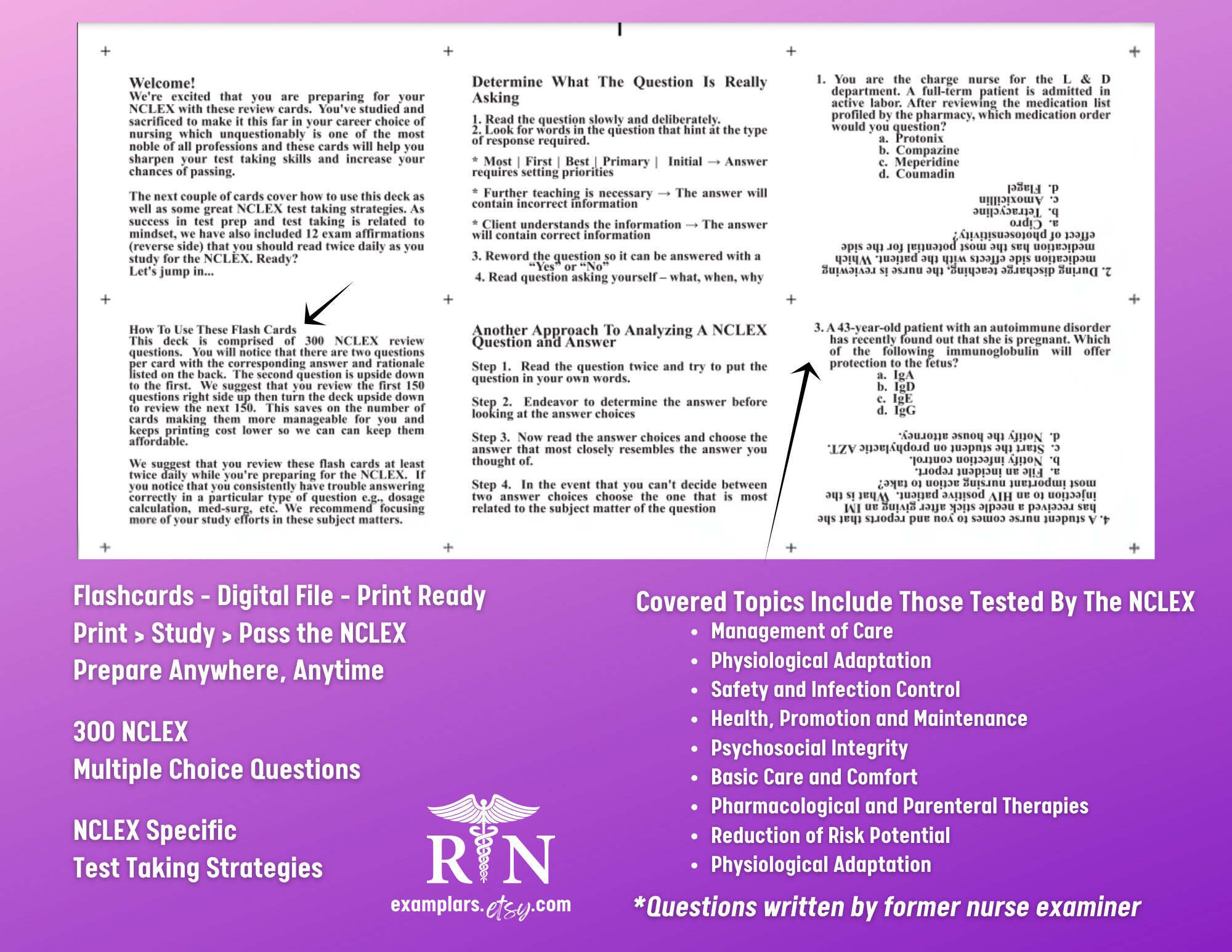 NCLEX Flash Cards Prep and Study Plan | 300 Q&A + 4 Cheat Sheets > Head ...
