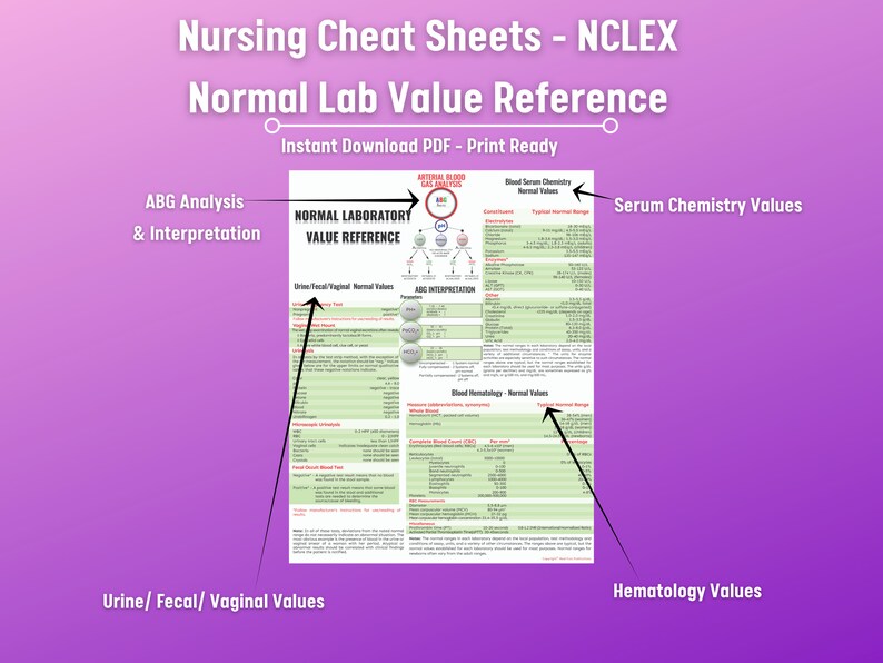NCLEX Flash Cards Prep and Study Plan | 300 Q&A + 4 Cheat Sheets > Head to Toe, Pharmacology ...