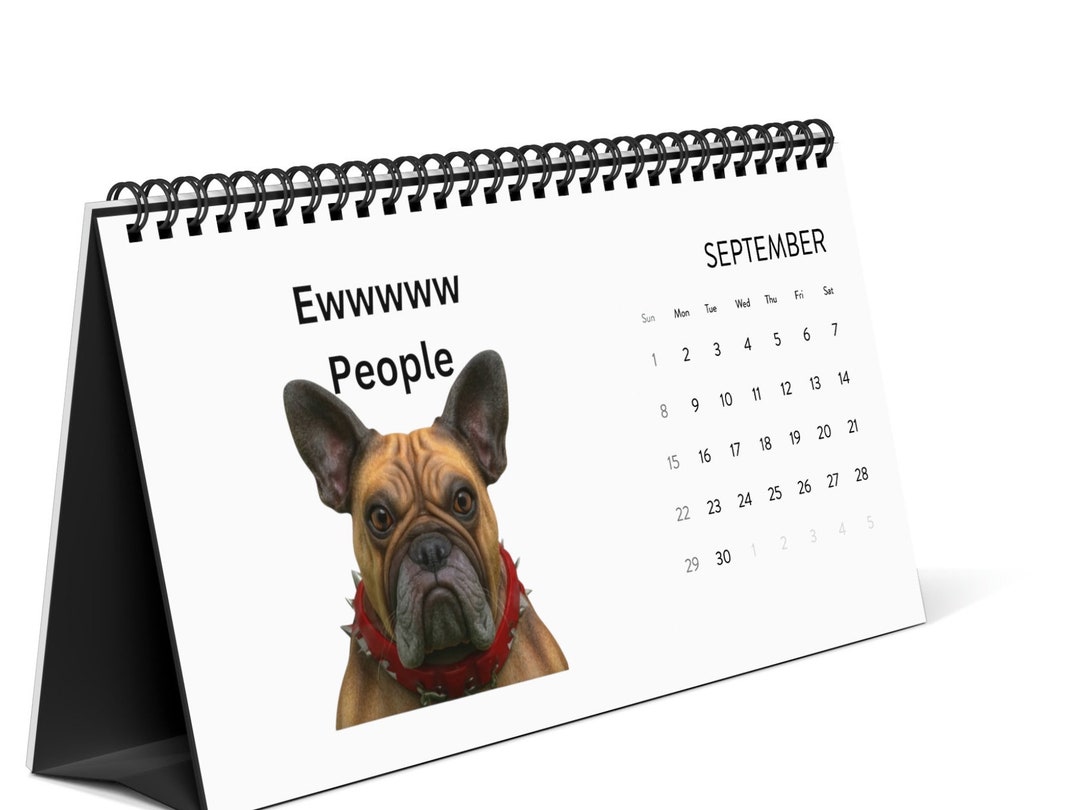 Funny Men's Gift, Grumpy Bulldog, Dog Lover, Ewwwww People, College ...