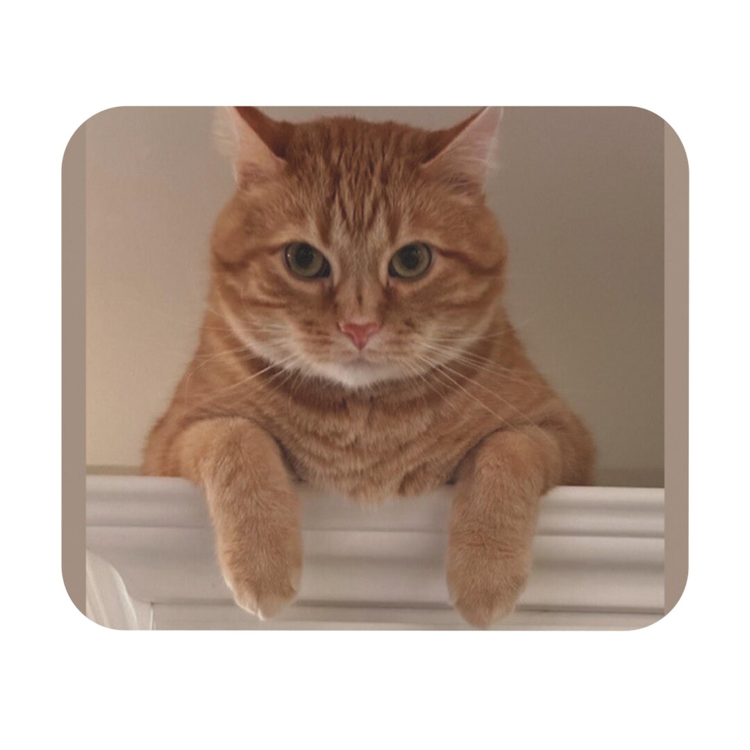 Orange Tabby Cat Mouse Pad, Cute Cat Lover Gift, Cat Groomer Mouse Mat ...