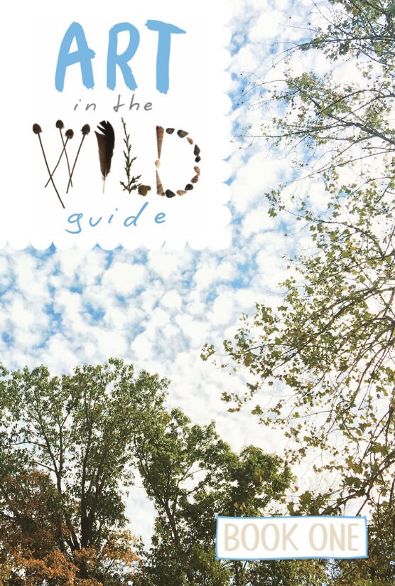 Art in the Wild Book One Homeschool Art in Nature Curriculum Guide ...