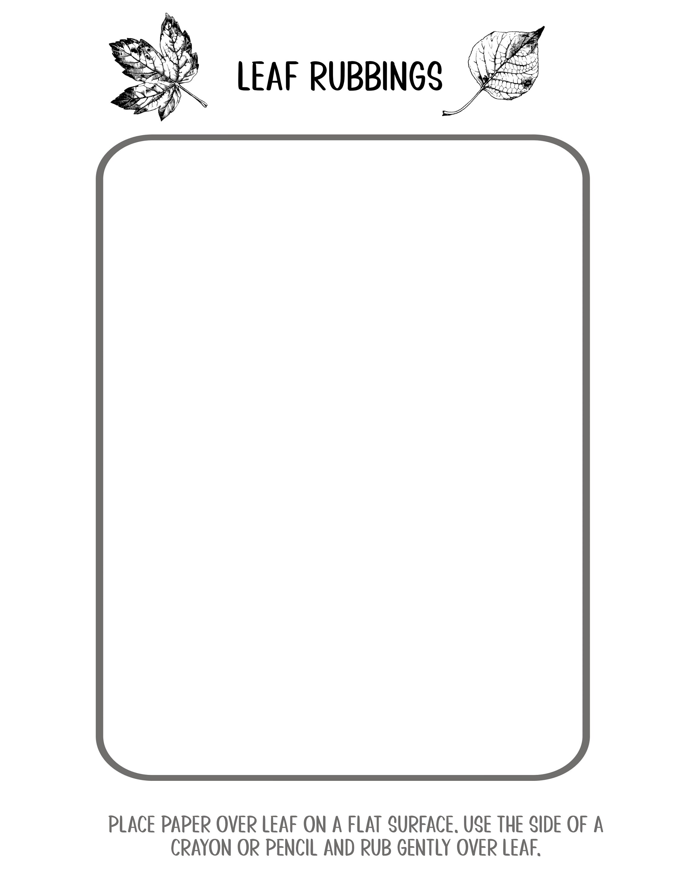 Field Guide - A Child's Field Guide for the Day - Art Activity Book ...