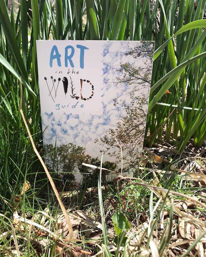 Art in the Wild Book One Homeschool Art in Nature Curriculum Guide ...
