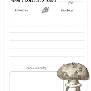 Field Guide - A Child's Field Guide for the Day - Art Activity Book ...