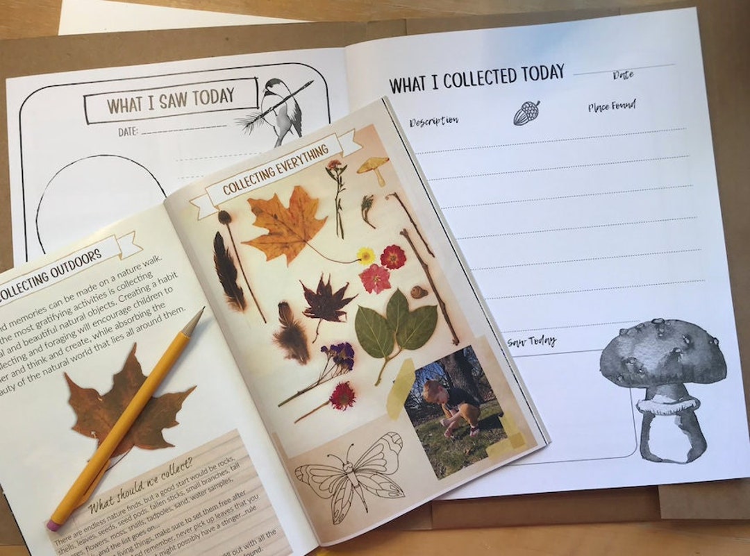 Field Guide - A Child's Field Guide for the Day - Art Activity Book ...