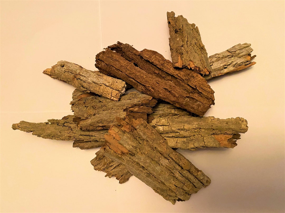 All Natural Assorted Tree Bark. 10 Pcs. - Etsy