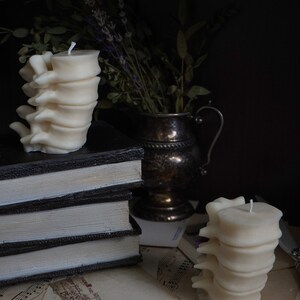 Set of 2 Pillar Spine Soy Candle, Column Candle, Gift Idea, Bookish ...