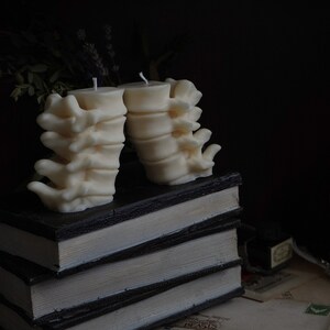 Set of 2 Pillar Spine Soy Candle, Column Candle, Gift Idea, Bookish ...