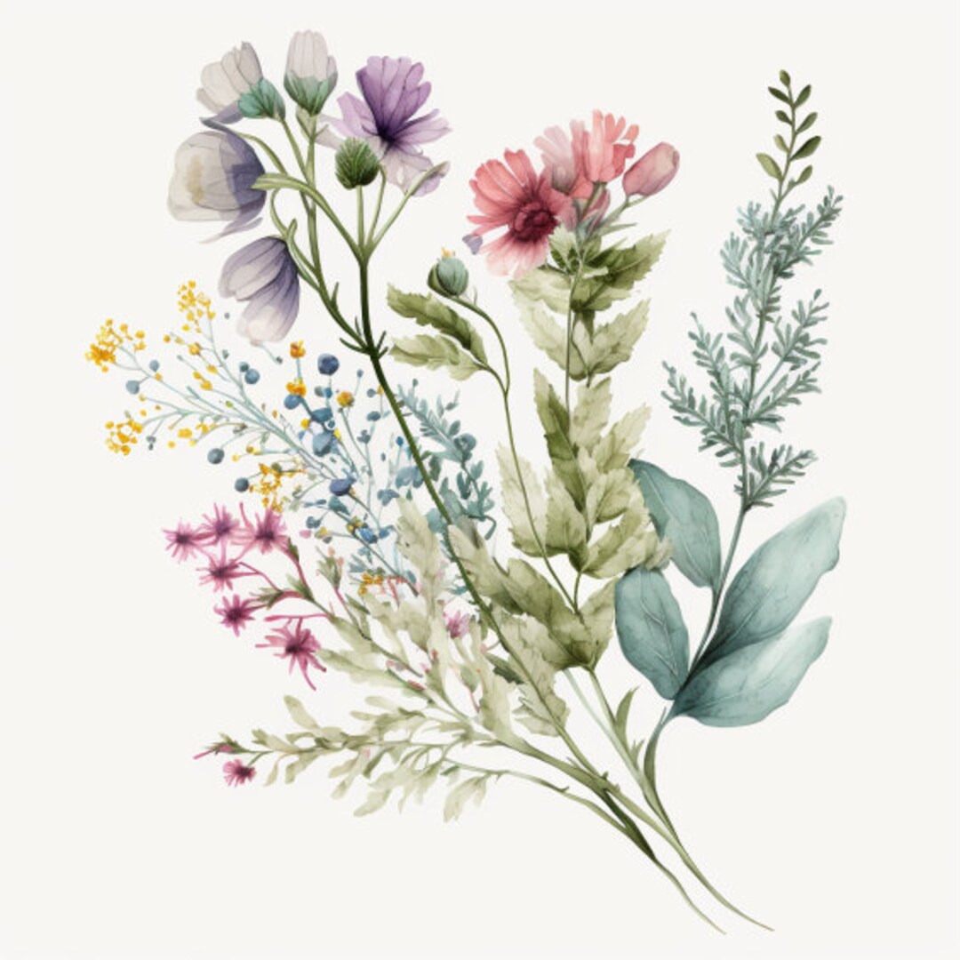 A Wildflower Bundle Isolated Watercolor on Completely White - Etsy