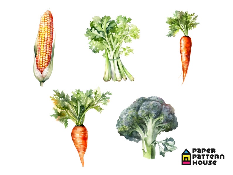 Watercolor Vegetables Clipart Bundle Watercolor Veggies - Etsy