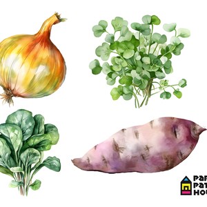 Watercolor Vegetables Clipart Bundle Watercolor Veggies - Etsy