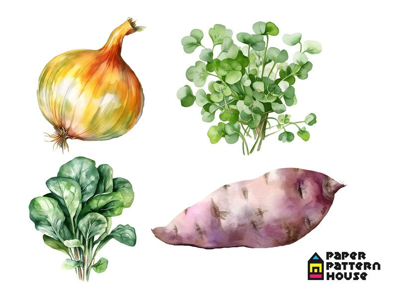 Watercolor Vegetables Clipart Bundle Watercolor Veggies - Etsy