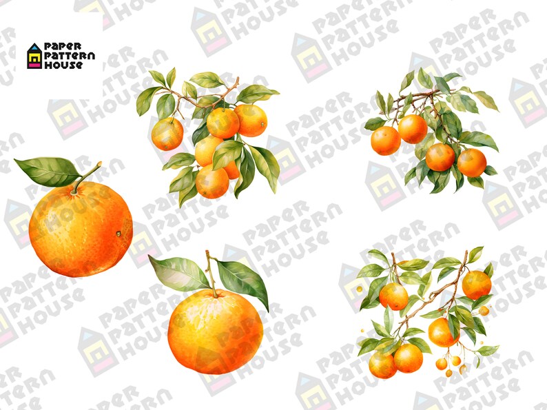 Watercolor Orange Clipart, Citrus Clipart Design Bundle, Watercolor ...