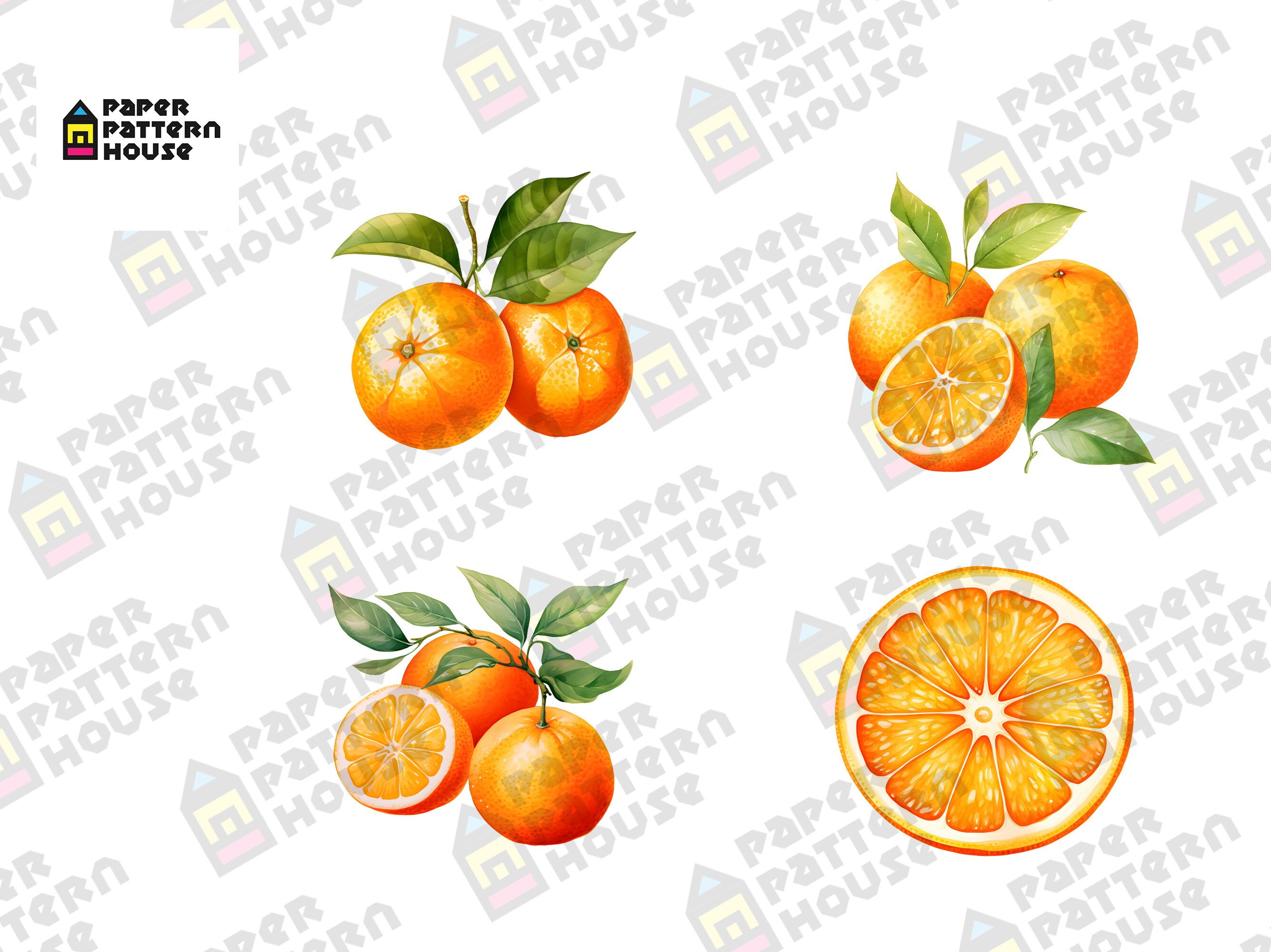 Watercolor Oranges Clipart Bundle, Boho Watercolor Clipart, Fruit ...