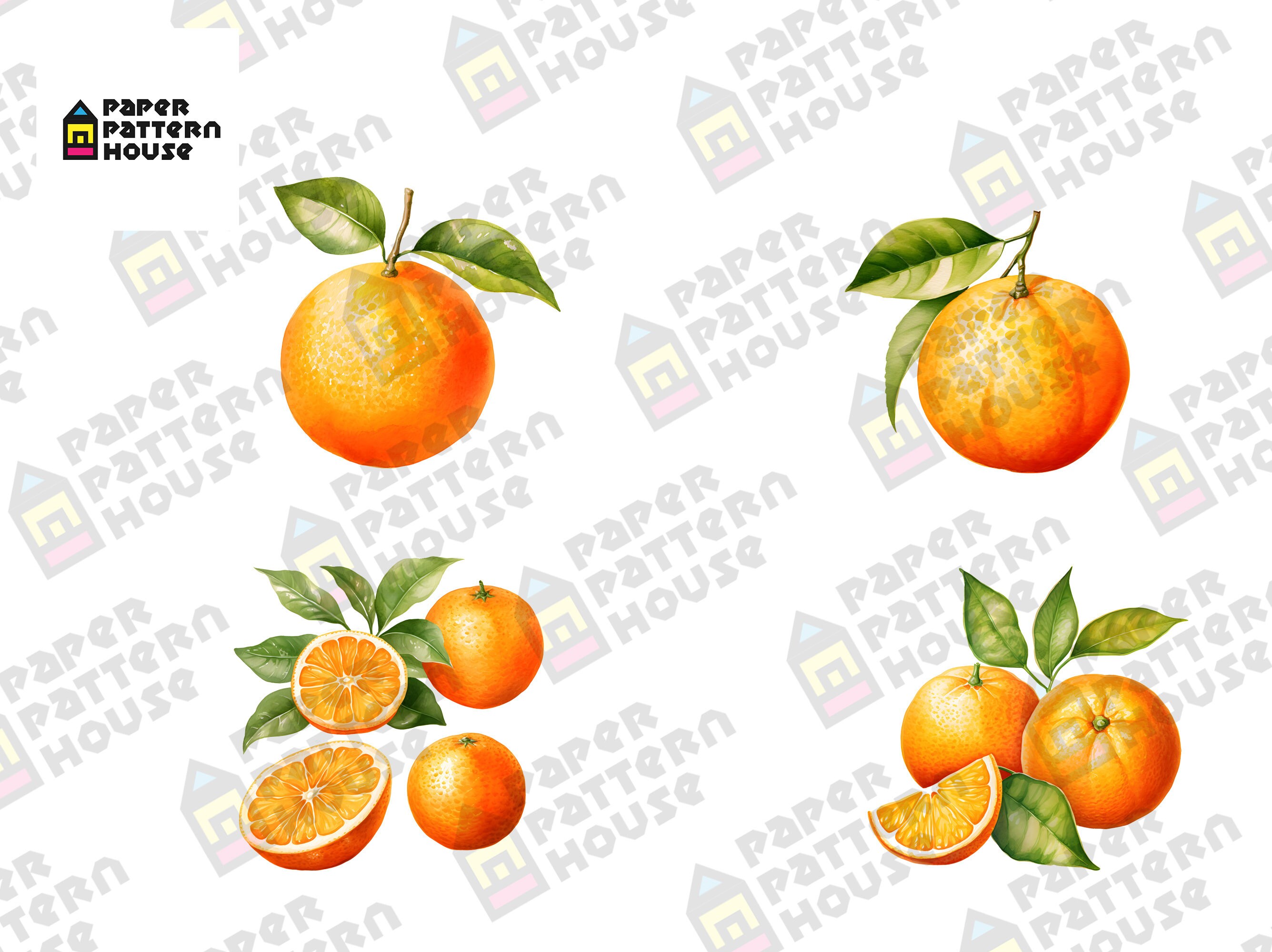 Watercolor Orange Clipart Citrus Clipart Design Bundle - Etsy