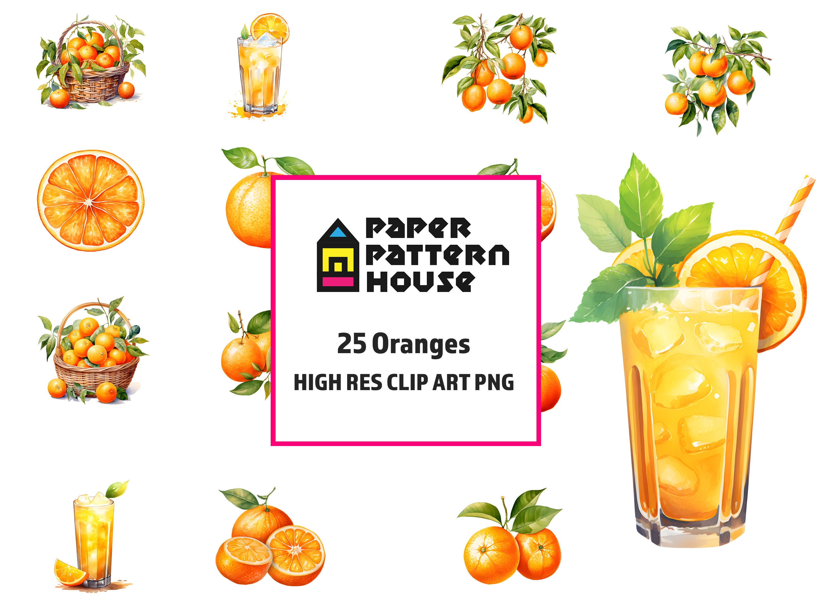 Watercolor Oranges Clipart Bundle Boho Watercolor Clipart - Etsy