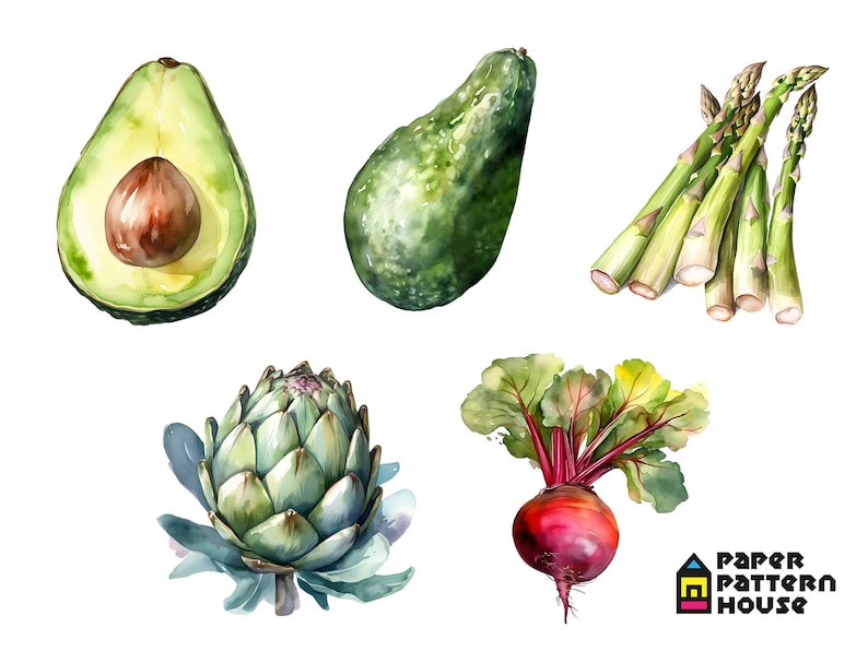 Watercolor Vegetables Clipart Bundle Watercolor Veggies - Etsy
