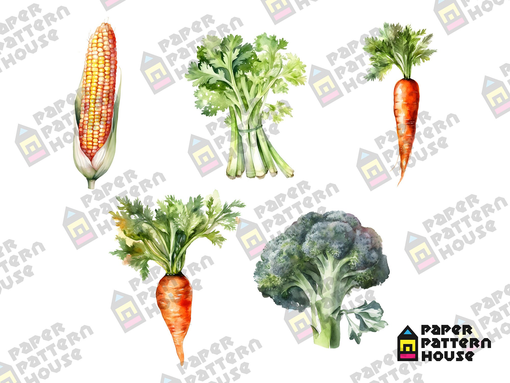Watercolor Vegetables Clipart Bundle, Boho Watercolor Clipart, Digital ...