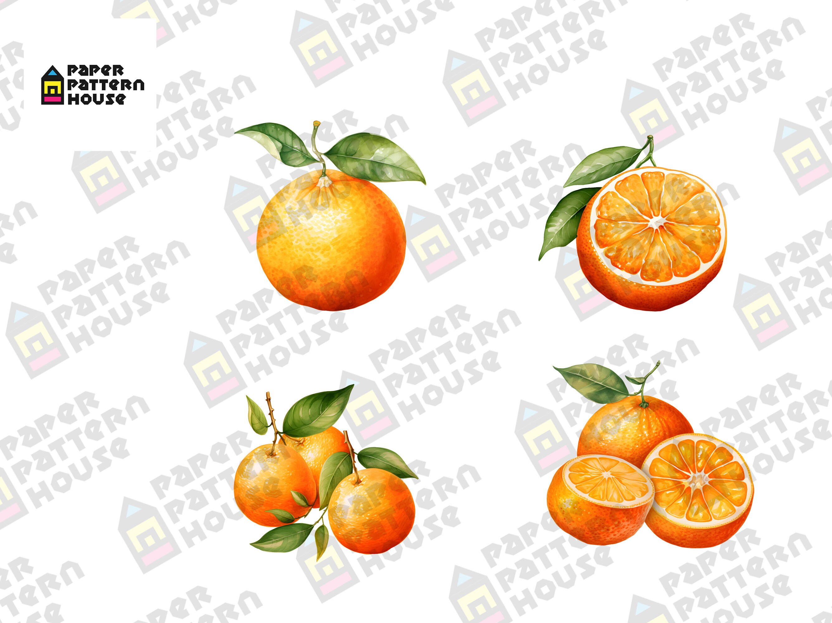Watercolor Oranges Clipart Bundle, Boho Watercolor Clipart, Fruit ...