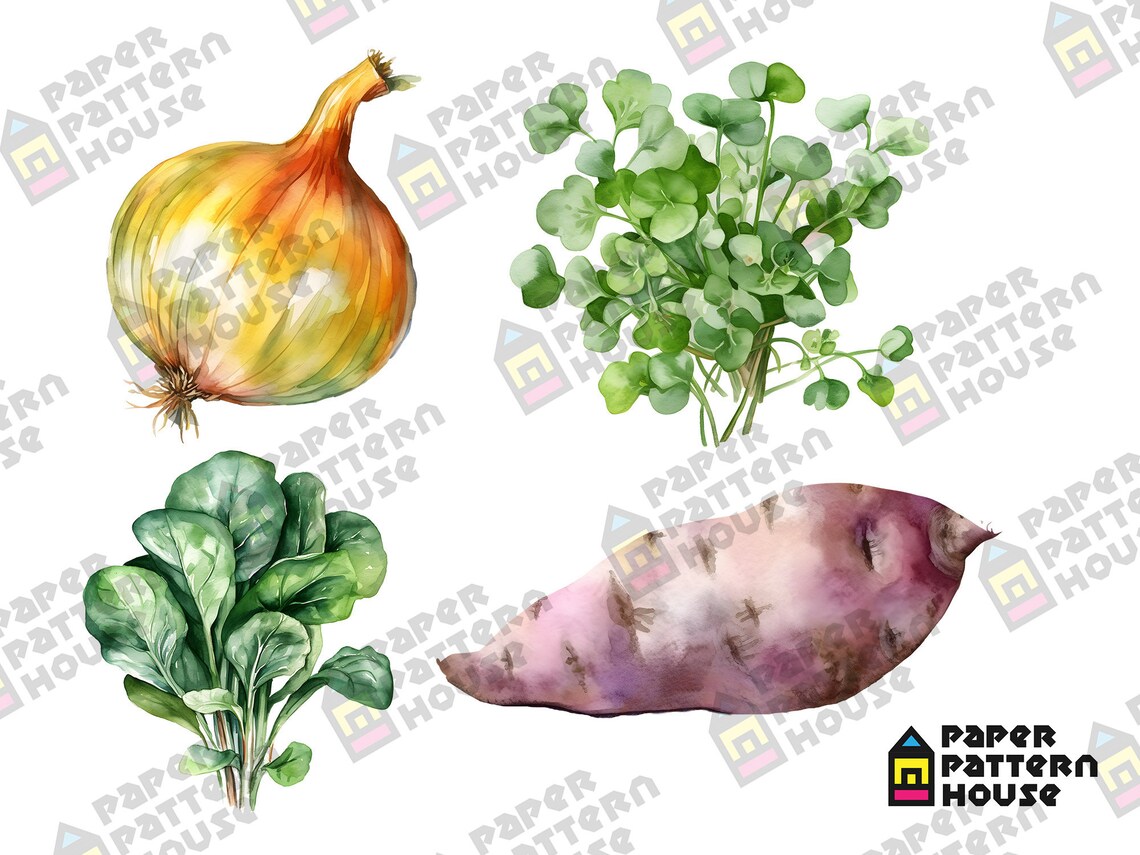 Watercolor Vegetables Clipart Bundle, Boho Watercolor Clipart, Digital ...