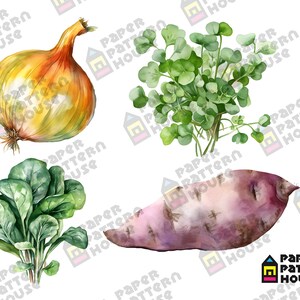 Watercolor Vegetables Clipart Bundle, Boho Watercolor Clipart, Digital ...