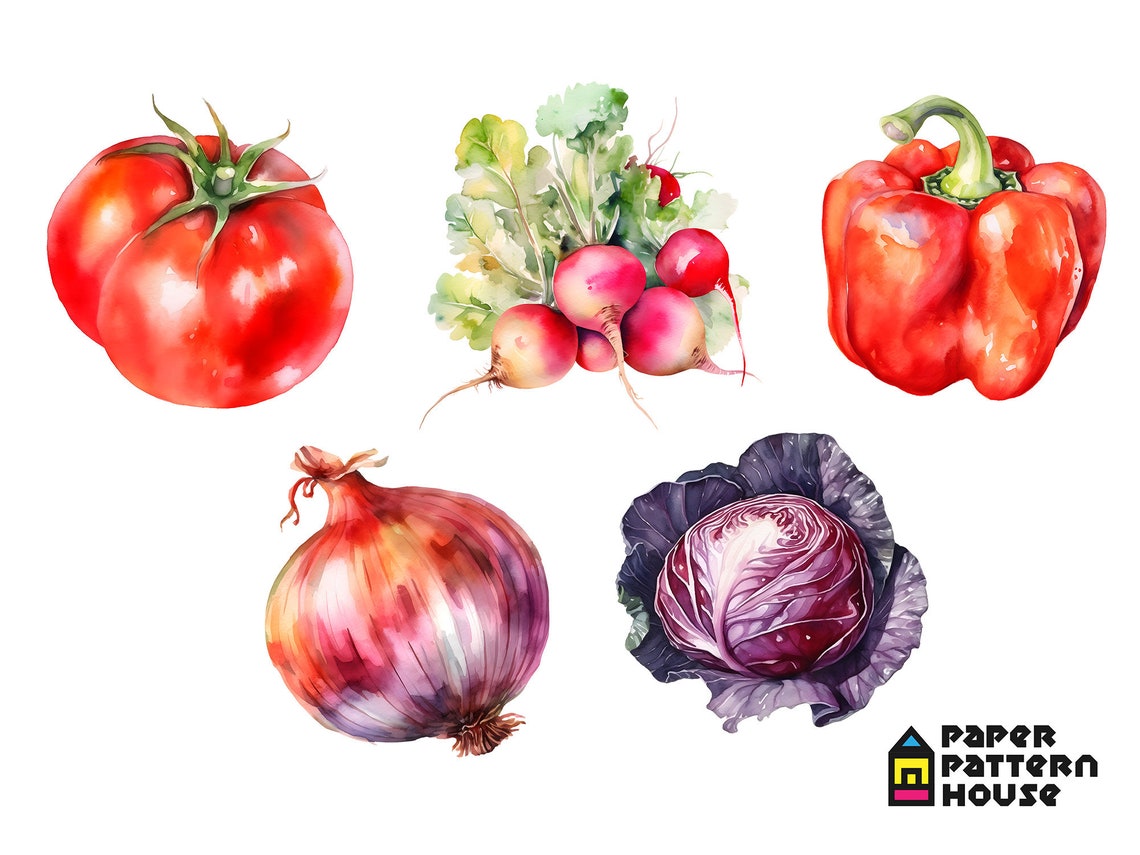 Watercolor Vegetables Clipart Bundle Watercolor Veggies - Etsy