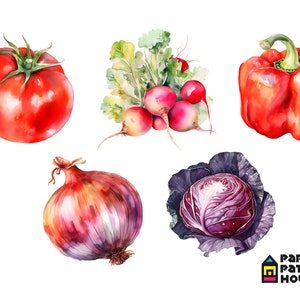 Watercolor Vegetables Clipart Bundle Watercolor Veggies - Etsy
