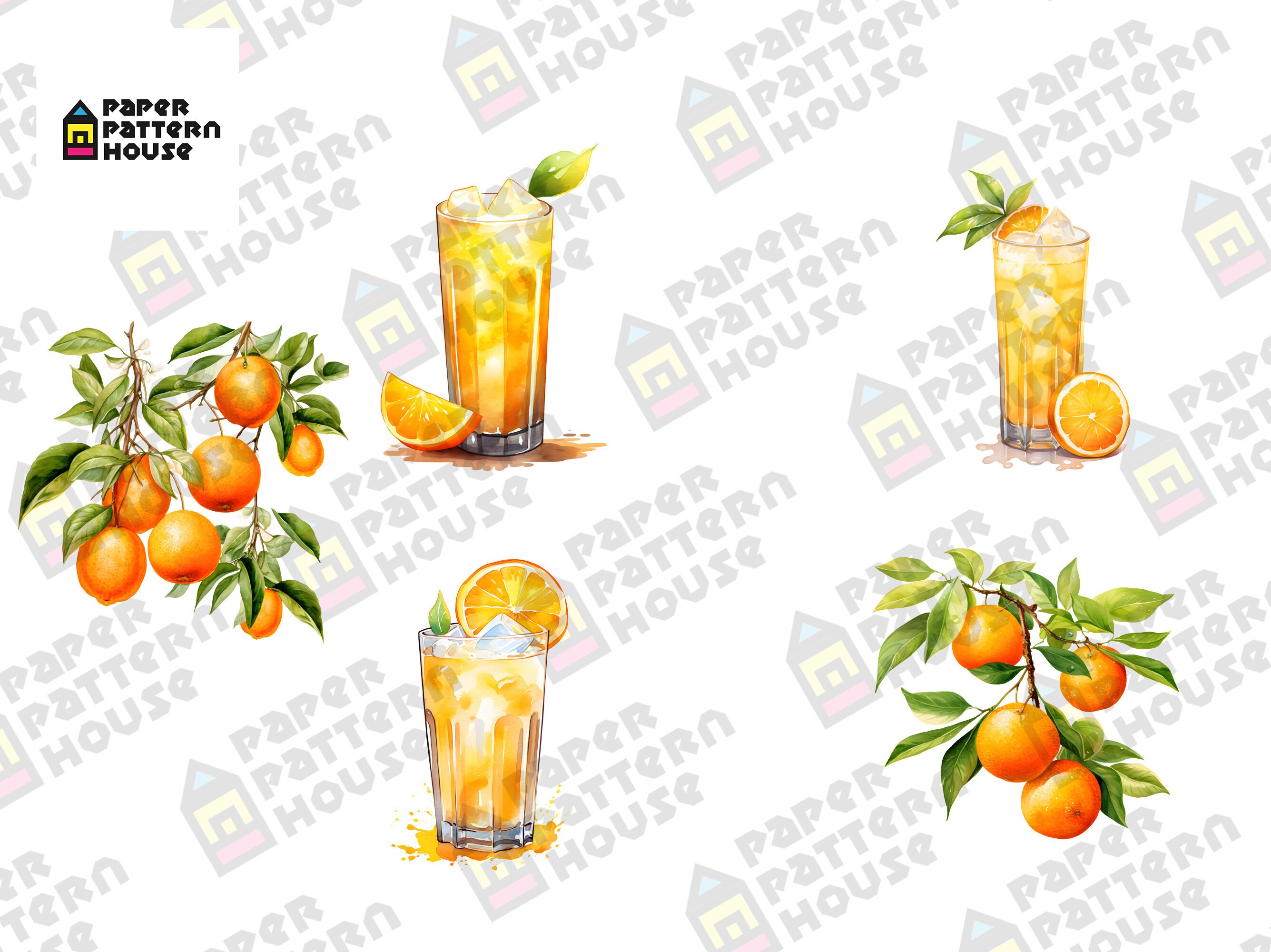 Watercolor Oranges Clipart Bundle, Boho Watercolor Clipart, Fruit ...
