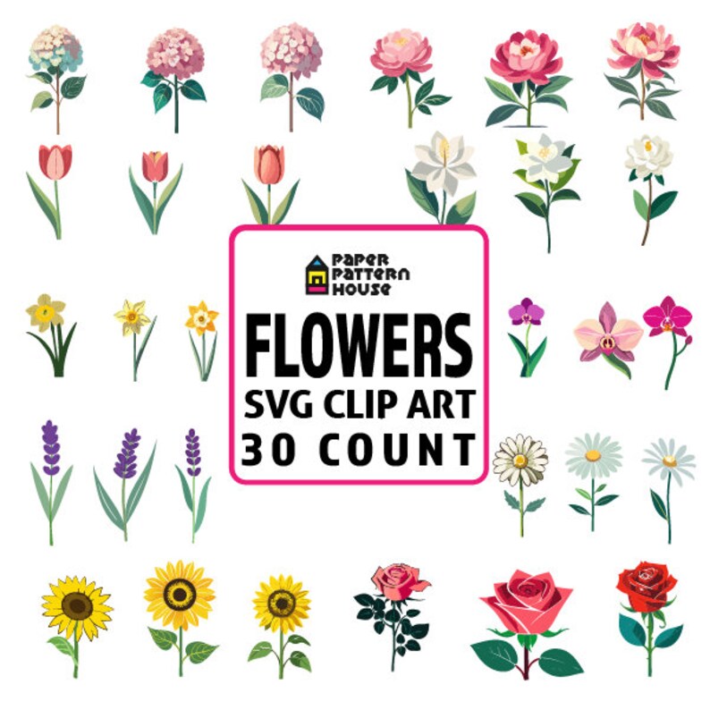 Flower Variety Clipart Bundle, SVG Flower Clipart, 30 Count, Floral ...
