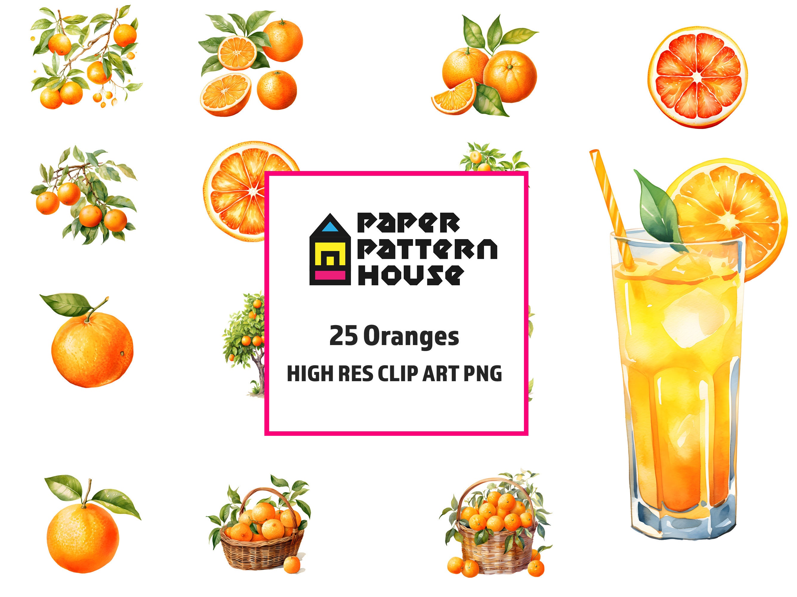 Watercolor Orange Clipart Citrus Clipart Design Bundle - Etsy