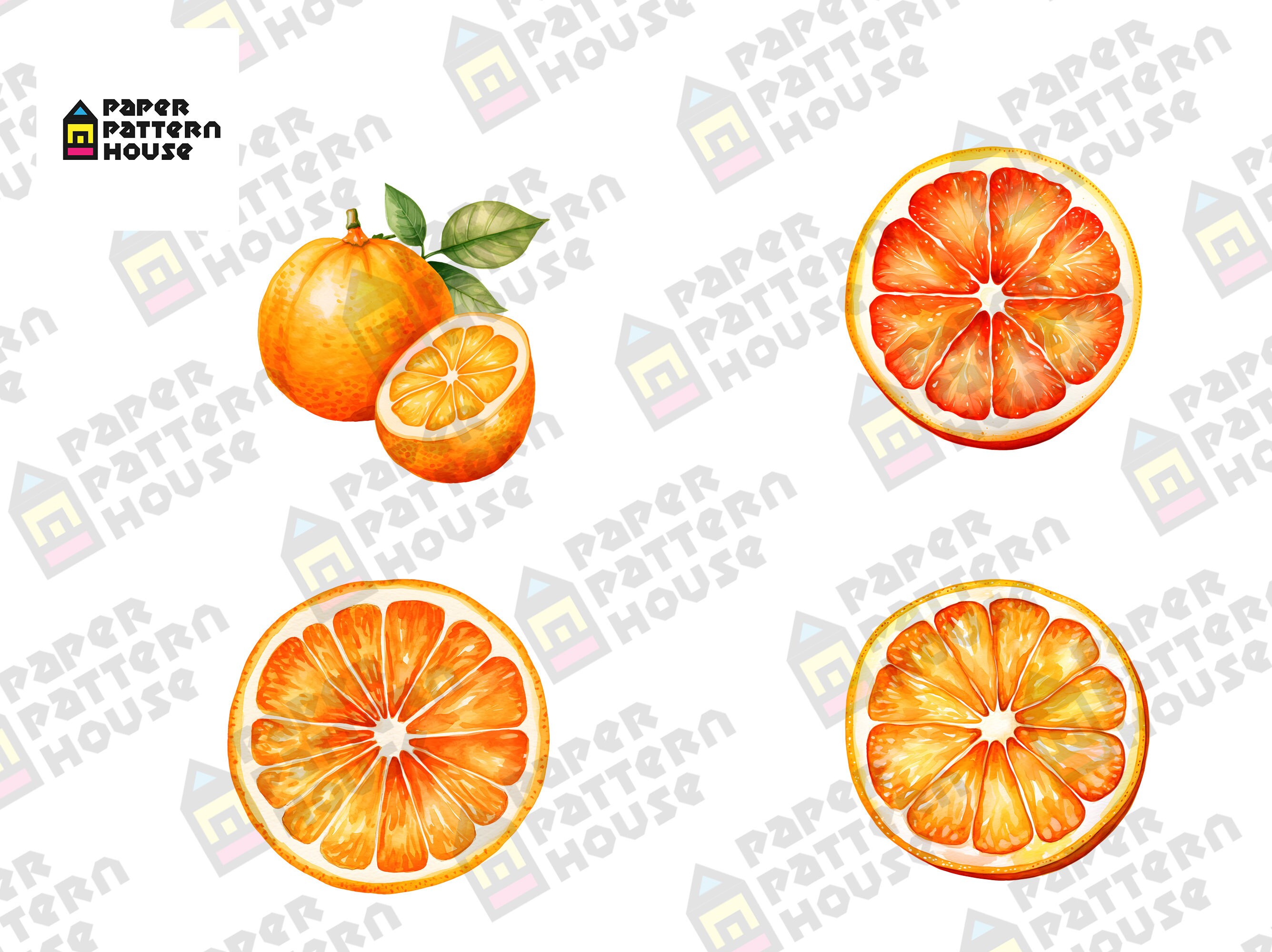 Watercolor Orange Clipart Citrus Clipart Design Bundle - Etsy