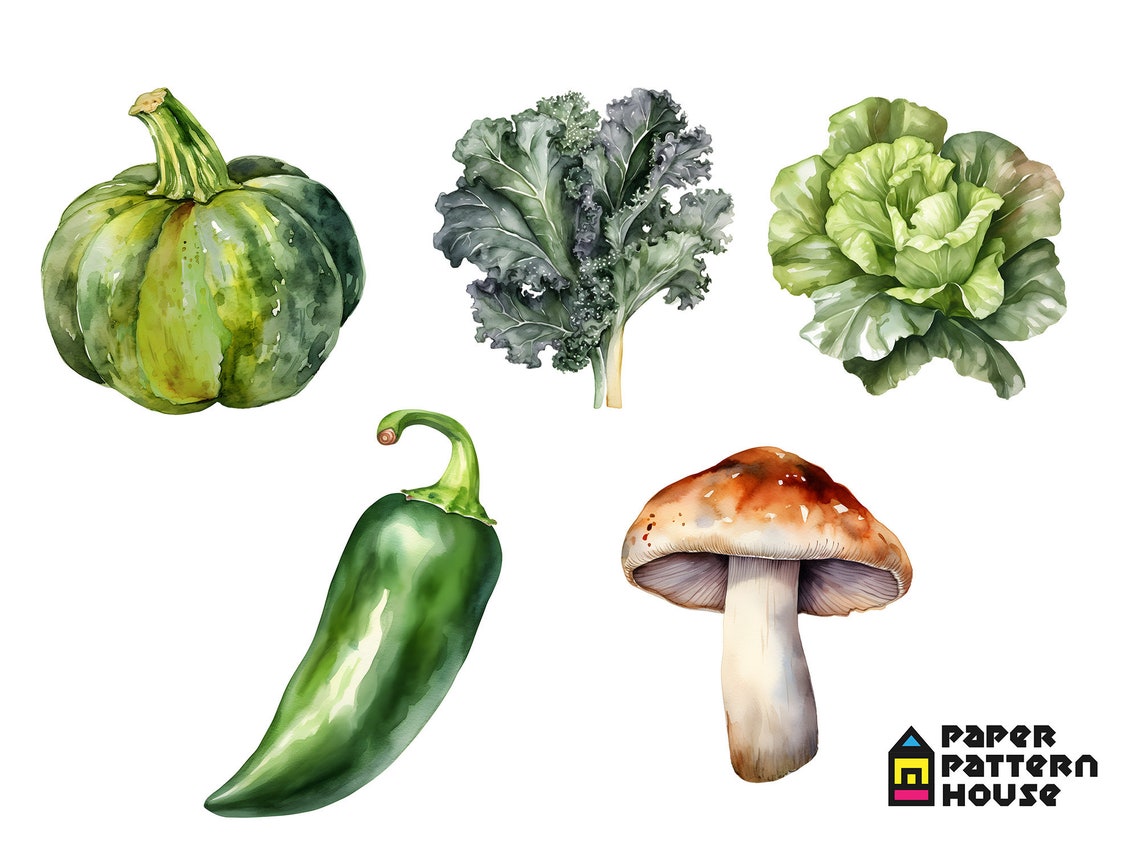 Watercolor Vegetables Clipart Bundle Watercolor Veggies - Etsy