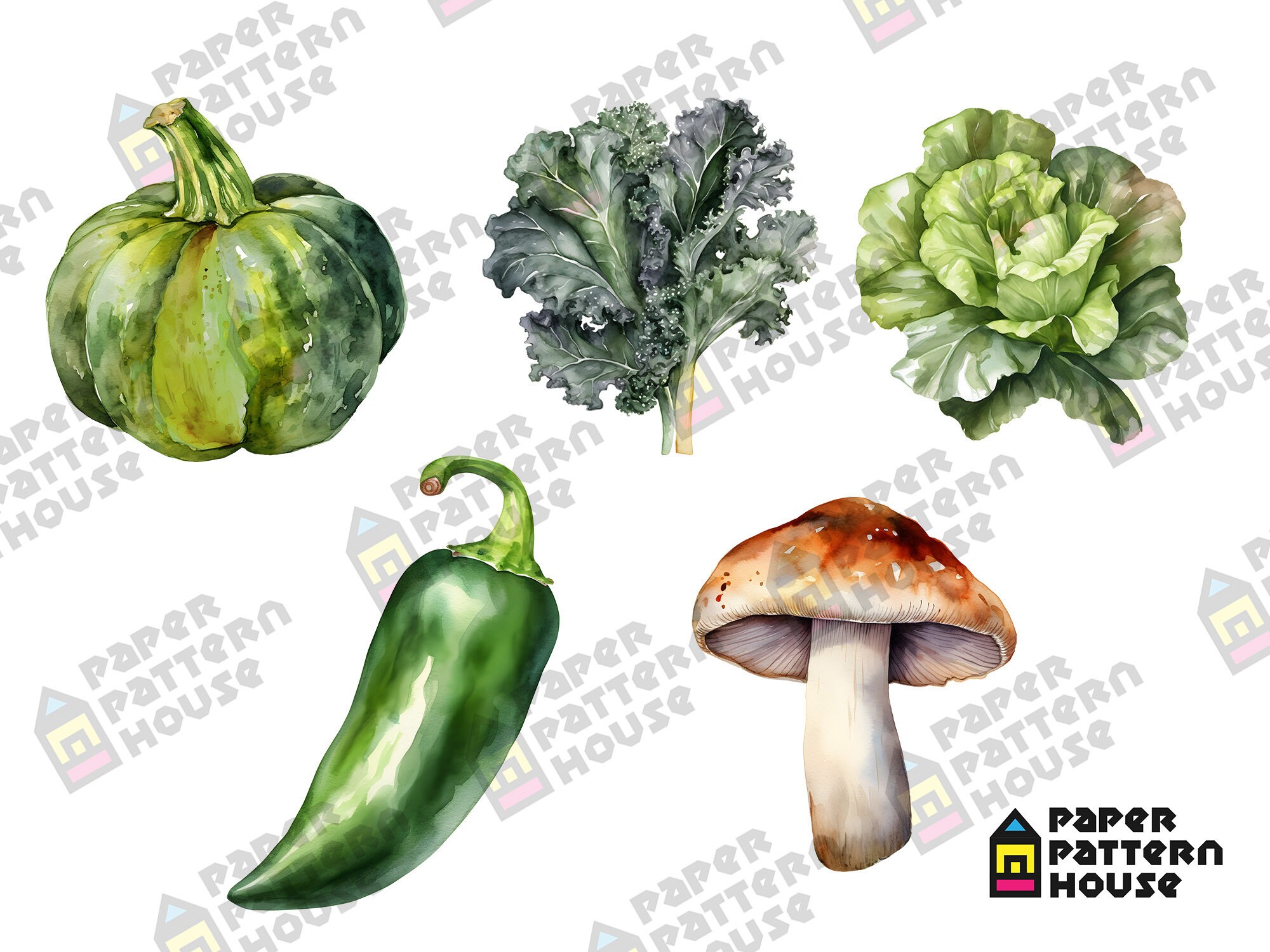 Watercolor Vegetables Clipart Bundle, Boho Watercolor Clipart, Digital ...